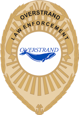 FireWeb - Cloud-Based Incident Management & Dispatching Platform ...